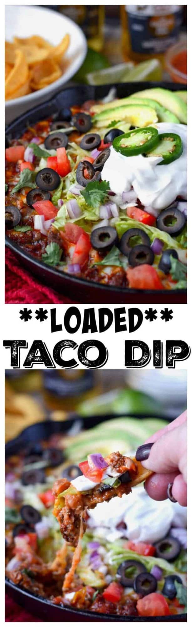 Loaded Taco Dip Recipe-Butter Your Biscuit