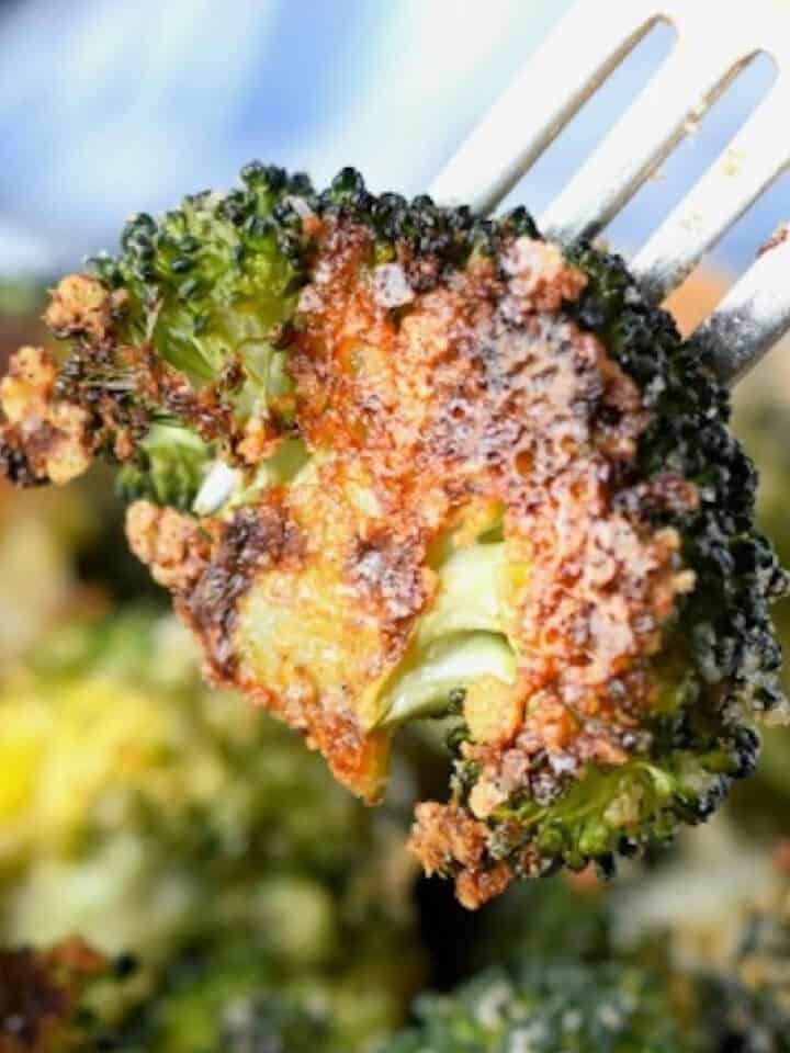 Homemade Fire Roasted Salsa - Butter Your Biscuit