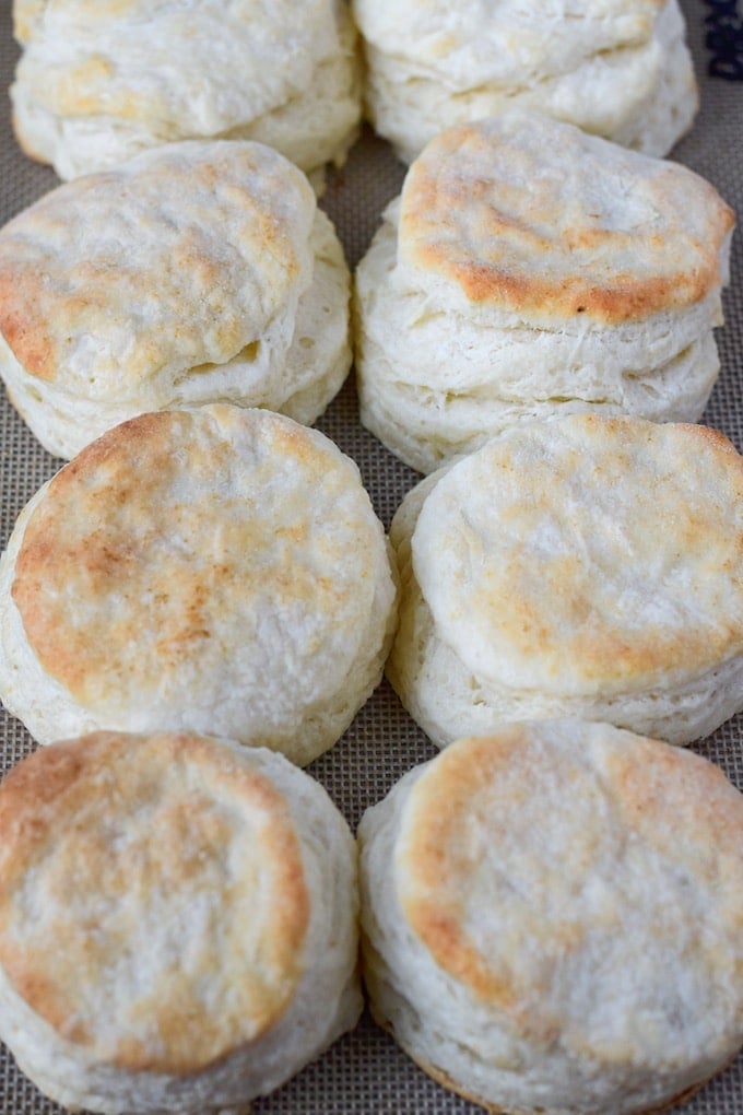 Bacon Egg and Cheese Biscuit Sandwich {Video} Butter Your Biscuit