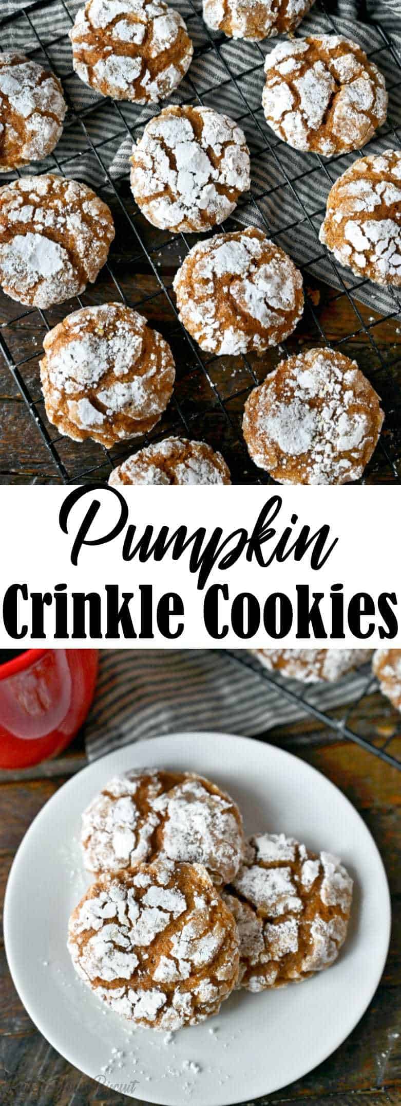 Pumpkin Crinkle Cookies - Butter Your Biscuit