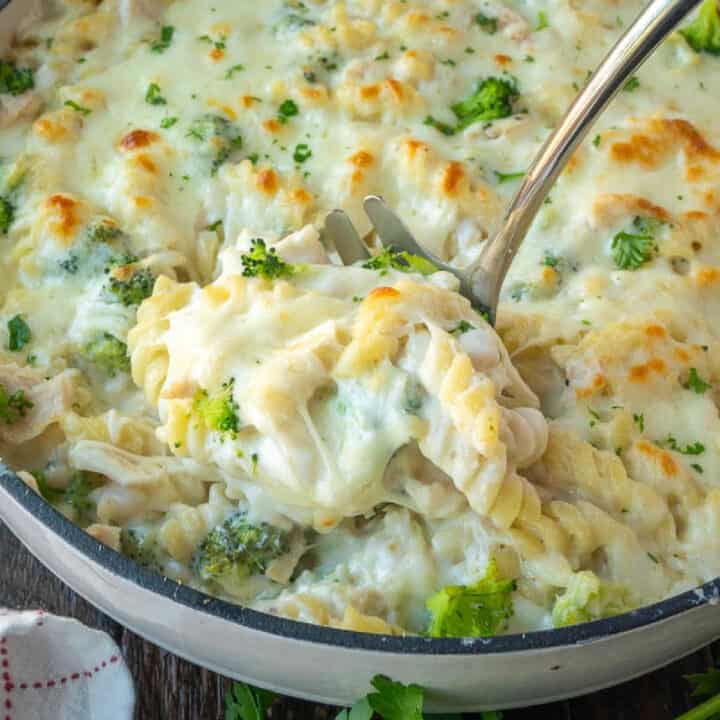 Chicken and Broccoli Alfredo Bake | Butter Your Biscuit